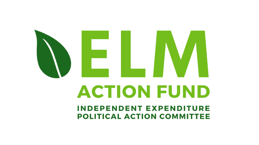 ELM Action Fund IE PAC - ELM Action Fund