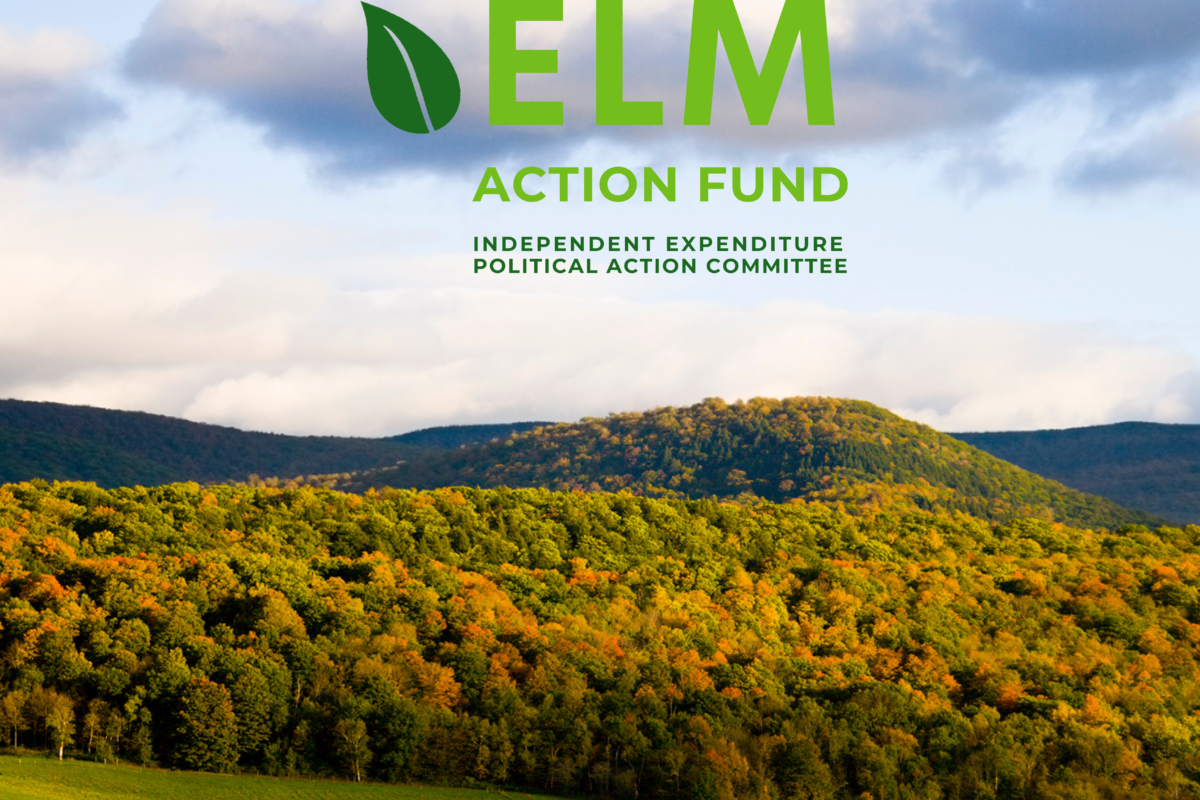 ELM Action Fund IE PAC - ELM Action Fund